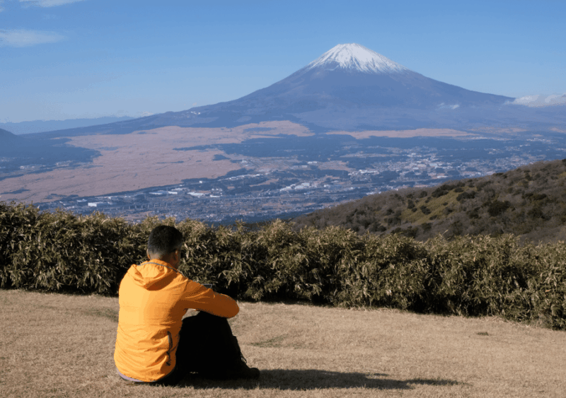 Hakone: Traverse the Hakone Caldera and Enjoy Onsen - Itinerary Highlights