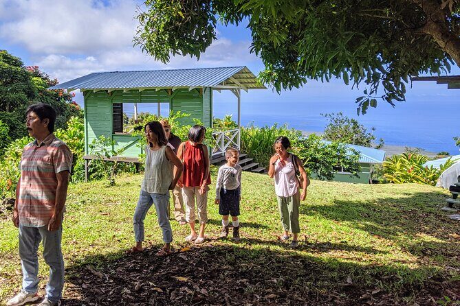 Hala Tree Coffee Farm Tour - What to Expect from the Tour
