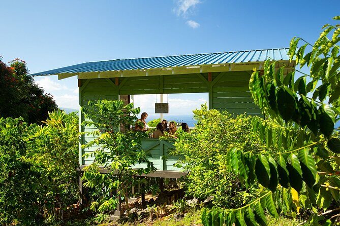 Hala Tree Coffee Farm Tour - Who Would Enjoy This Tour?