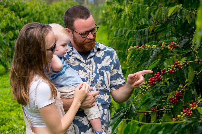 Hala Tree Coffee Farm Tour - Final Thoughts