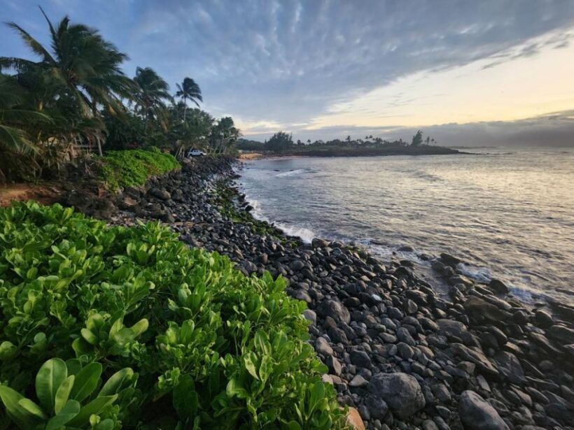 Haleakal Sunset Private Tour: Mauis Heavenly Evening - Cozy Dinner at Kula Lodge with a View