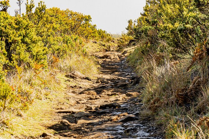 Haleakala Crater Hiking Experience - Safety and Guide Support