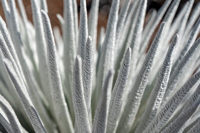 Haleakala Crater Hiking Experience - Booking Details and Pricing