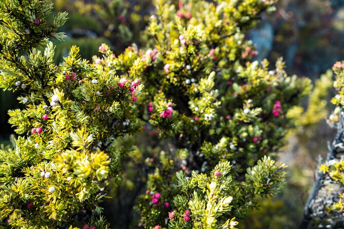 Haleakala Crater Hiking Experience - Frequently Asked Questions