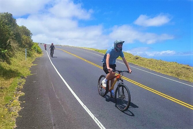 Haleakala Summit Best Self-Guided Bike Tour With Bike Maui - Recommendations for Families and Young Adults