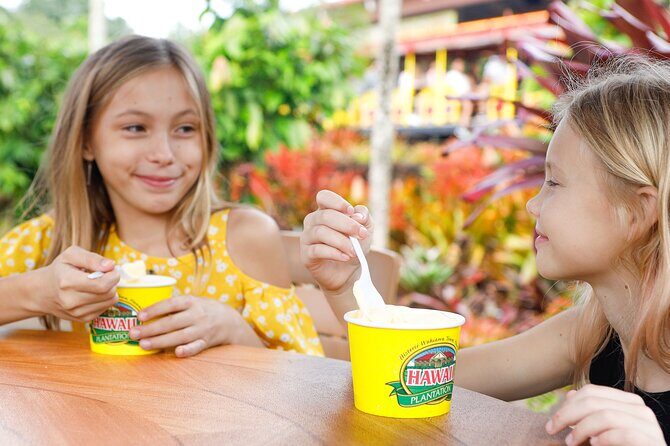 Haleiwa Express & Dole Plantation - A Detailed Look at the Tour Experience