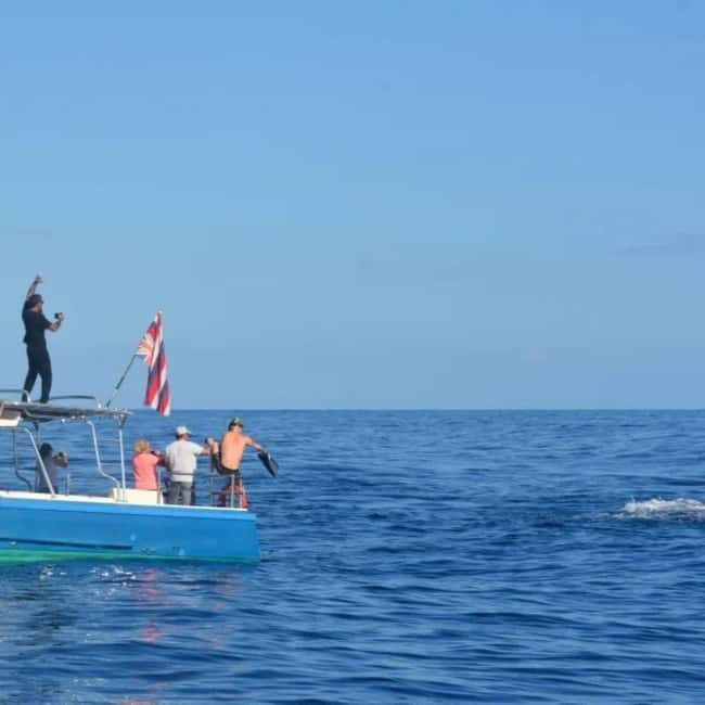 Haleiwa: North Shore Whale Watching Tour by Catamaran - The Experience: What You Can Expect