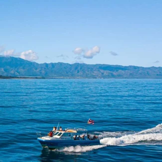 Haleiwa: North Shore Whale Watching Tour by Catamaran - Is This Tour Right for You?