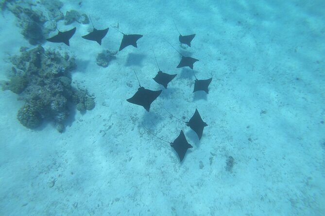 Half a day to discover Bora Bora with O-sea - Is This Tour Worth the Price?