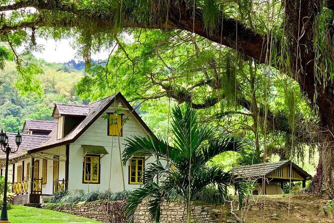 Half-day 3-Course Cocoa Lunch Tour in Trinidad - Who Will Love This Tour?