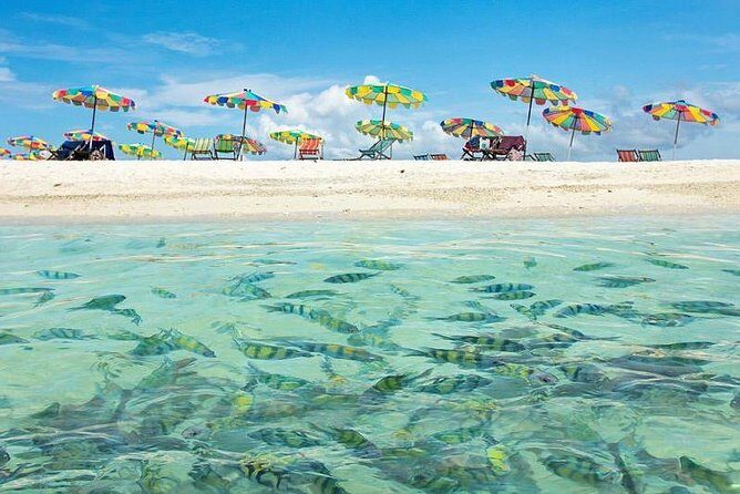 Half Day 3 Koh Khai Islands - FAQ
