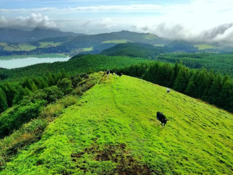 Half-Day 4X4 Tour Sete Cidades. Off the beaten Track. - What Travelers Appreciate Most