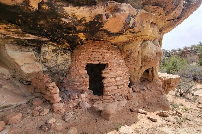 Half Day 4x4 UTV Tour of Bears Ears - The Value of the Experience