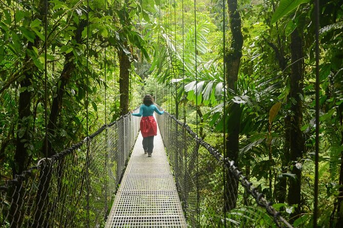 Half Day Adventure From Arenal -2 Tours in 1, 4 Options to Choose - Inclusions and Logistics