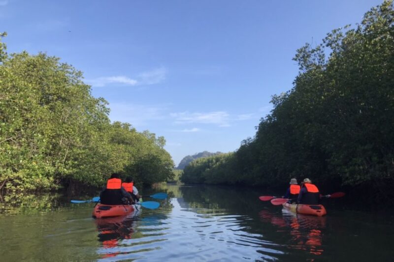Half day Adventure Kayaking at Mangrove forest - Key Points