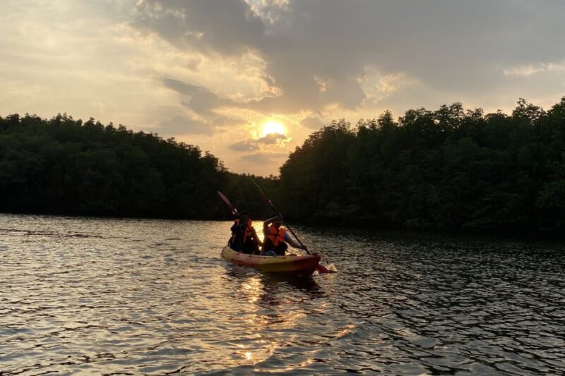 Half day Adventure Kayaking at Mangrove forest - What to Expect from the Tour