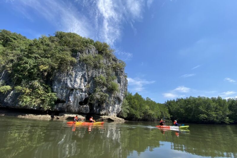Half day Adventure Kayaking at Mangrove forest - Itinerary Breakdown