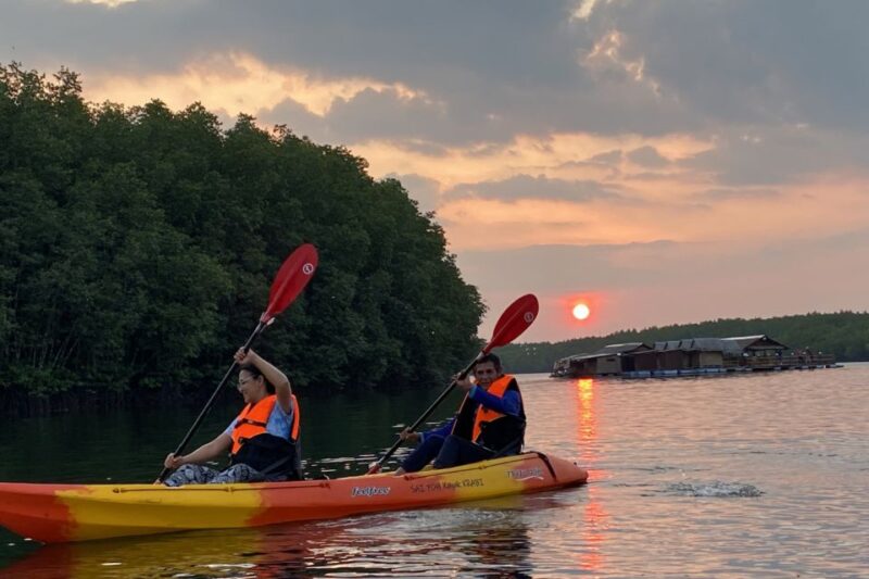 Half day Adventure Kayaking at Mangrove forest - Who Should Consider This Tour?