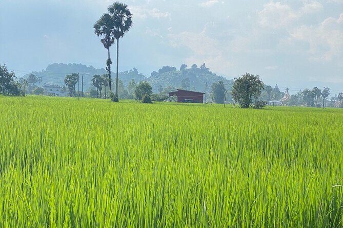 Half-Day Adventure to the Pepper Farm by Scooter - Who Should Consider This Tour?