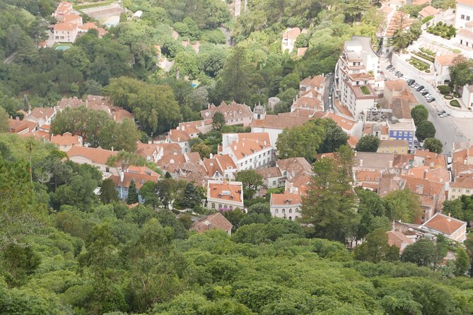 Half Day Adventures in the Sintra Mountain - Highlights of the Tour Experience