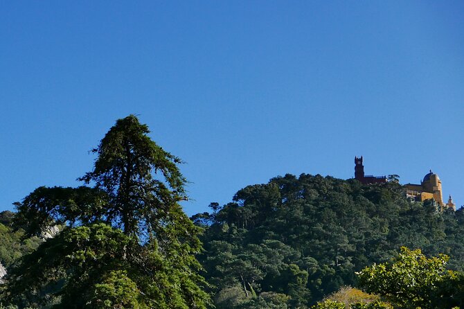 Half Day Adventures in the Sintra Mountain - Accessibility Features for All Travelers