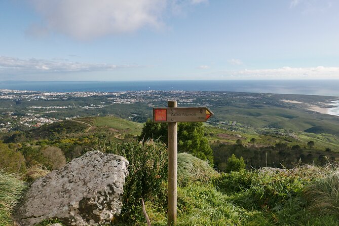 Half Day Adventures in the Sintra Mountain - Guest Reviews and Personal Experiences