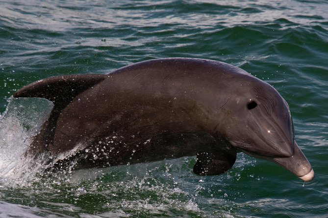 Half Day All The Way - What Is the Half Day All The Way Tour?