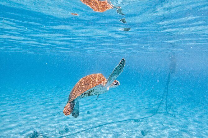 Half Day All West Beach Hopping - The Sum Up