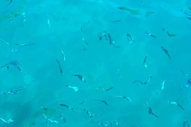 Half Day Amalfi Coast Boat and Snorkeling Tour in Small Group - How to Prepare for Your Snorkeling Adventure