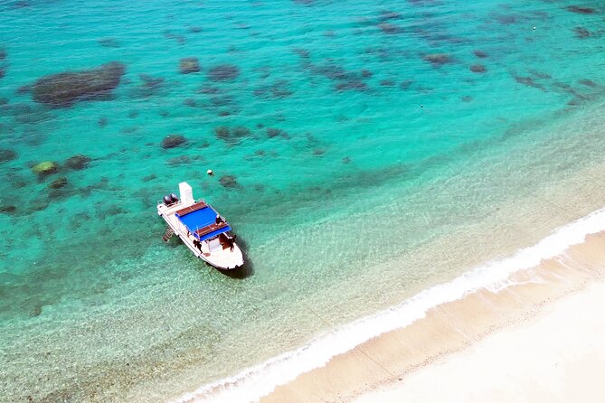 Half Day Amami Japan Boat Snorkeling Adventure - Inclusions and Exclusions