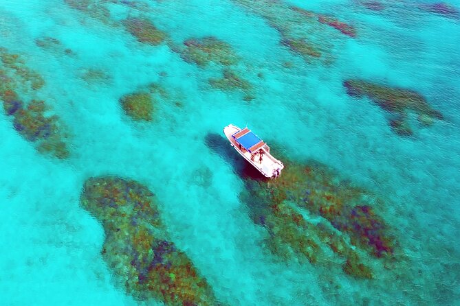 Half Day Amami Japan Boat Snorkeling Adventure - Cancellation and Booking Policy