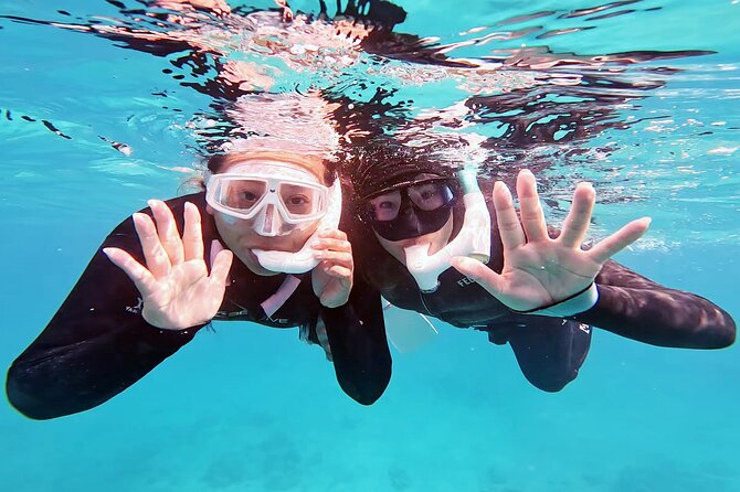 Half Day Amami Japan Boat Snorkeling Adventure - Highlights of the Snorkeling Adventure