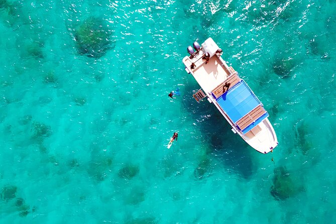 Half Day Amami Japan Boat Snorkeling Adventure - What to Expect During the Tour