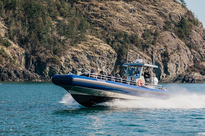 Half-Day Anacortes Whale and Wildlife Watching Guided Adventure - Encountering Seals, Porpoises, Sea Lions, and Otters