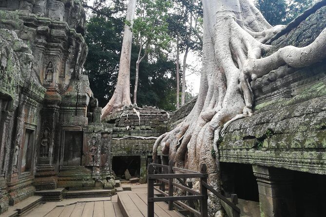 Half Day Angkor Wat Sunrise Private Tour - Key Points