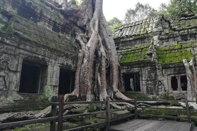 Half Day Angkor Wat Sunrise Private Tour - What’s Included and What’s Not