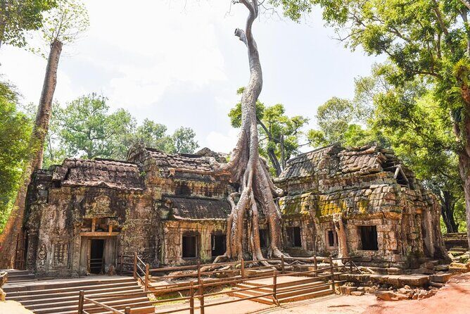 Half Day Angkor Wat Tour - Morning or Afternoon from Siem Reap - What to Expect from the Tour