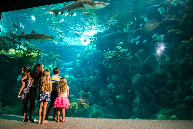 Half Day Antalya Aquarium Tour And Wax Museum - What to Expect