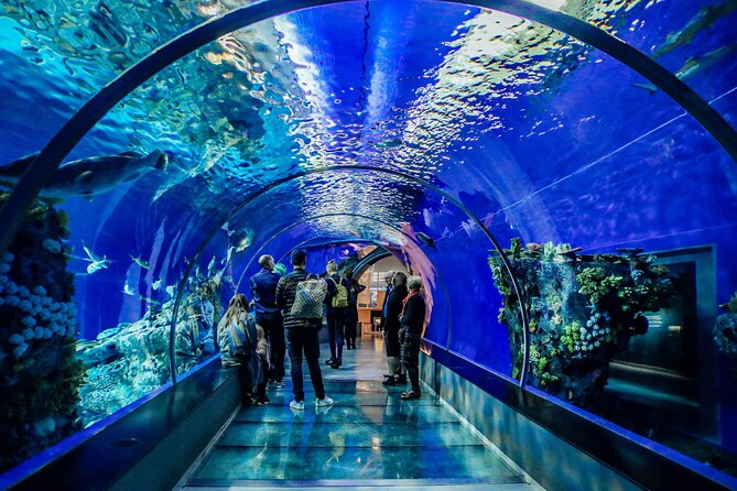 Half Day Antalya Aquarium Tour And Wax Museum - Reviews and Feedback