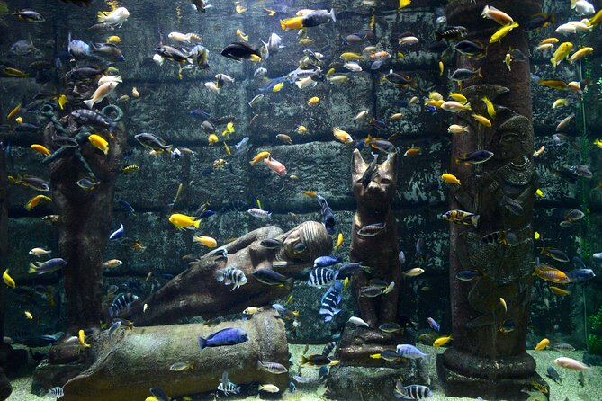 Half Day Antalya Aquarium Tour And Wax Museum - Discovering the Wax Museum