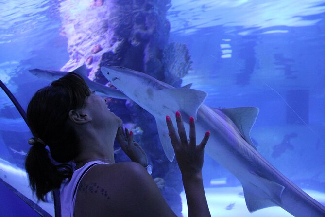 Half Day Antalya Aquarium Tour And Wax Museum - Making the Most of Your Tour