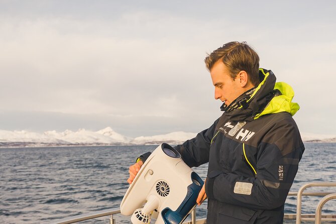 Half Day Arctic Fjord Cruise From Tromso - Key Points