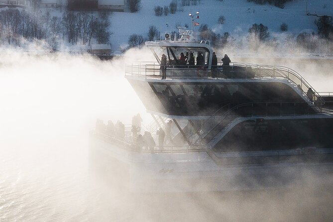 Half Day Arctic Fjord Cruise From Tromso - Wildlife Viewing Opportunities