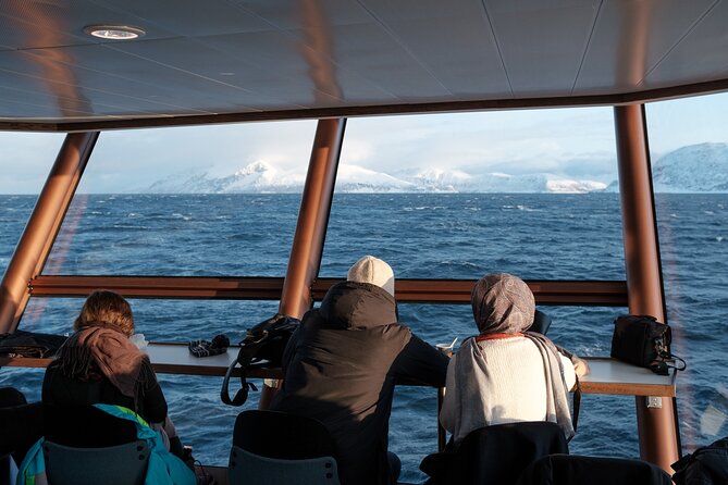 Half Day Arctic Fjord Cruise From Tromso - Weather Considerations and Satisfaction Levels
