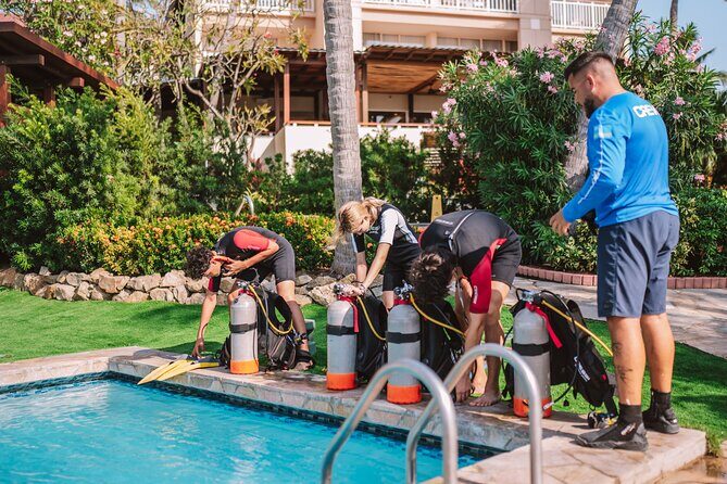 Half-Day Aruba Intro Diving Course for Beginners - What to Expect from the Experience
