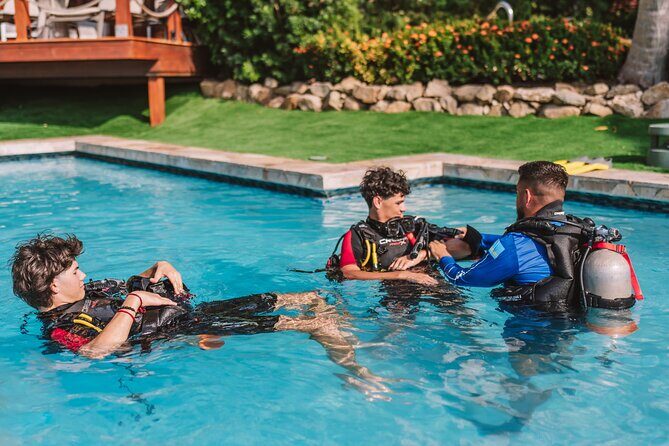 Half-Day Aruba Intro Diving Course for Beginners - Who Should Book This Experience?