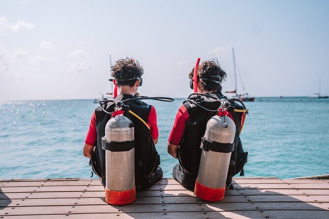 Half-Day Aruba Intro Diving Course for Beginners - The Sum Up