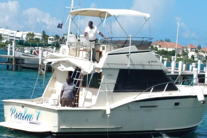 Half-Day at Green Cay Bahamas Snorkeling with Turtles - Who Will Love This Tour?