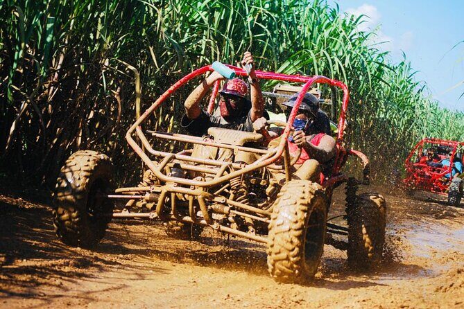 Half-Day ATV or Buggy 4X4 from Bayahibe - La Romana - Key Points