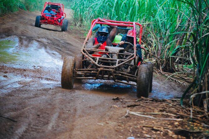 Half-Day ATV or Buggy 4X4 from Bayahibe - La Romana - FAQ